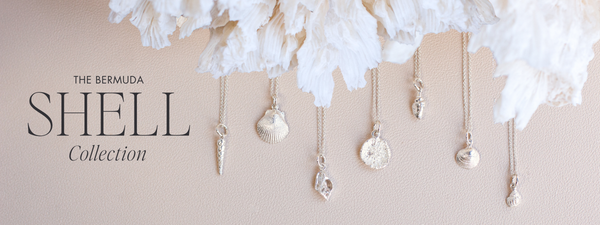 Bermuda Shell Collection